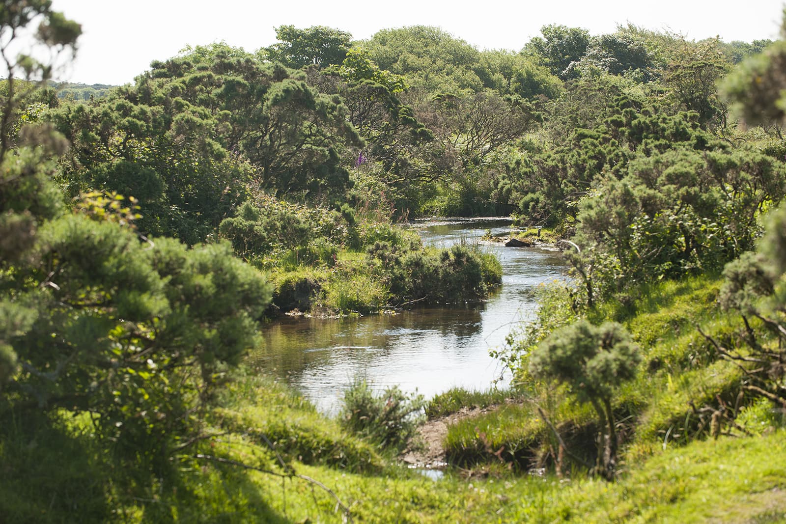 King Arthur, Camelot, and Cornwall