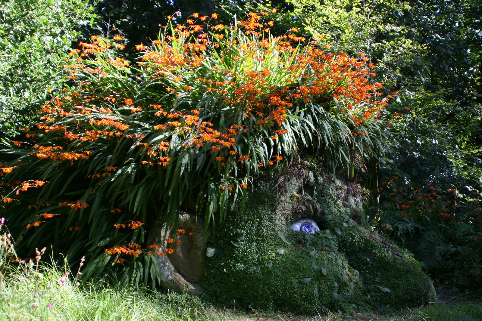 Cornwall gardens - Eden Project, Heligan, Trebah, Pine Lodge